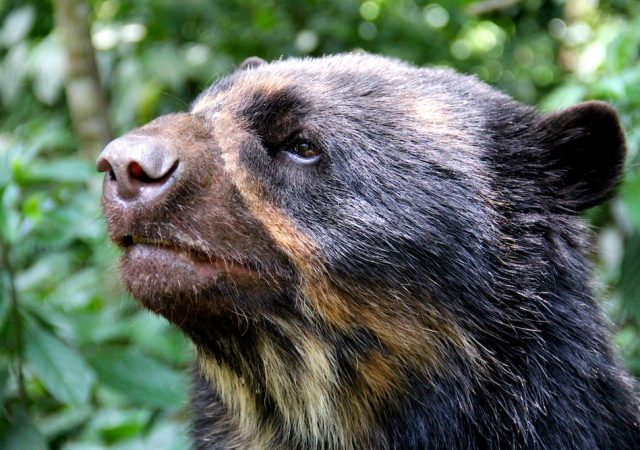 LatinAmericanScience.org - Science news out of Latin America